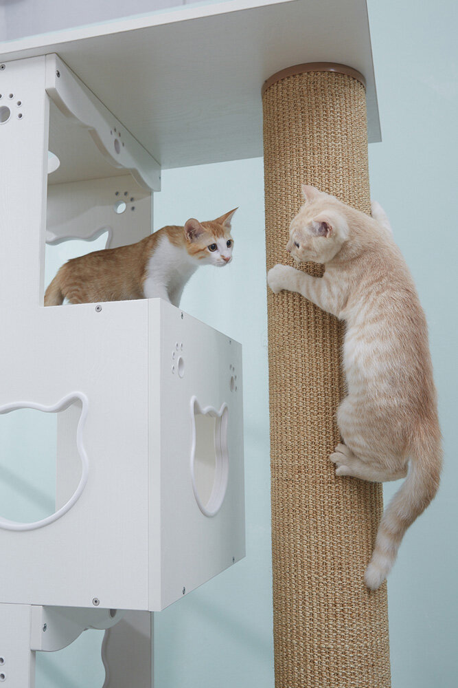 CatS Design Kratzbaum Multi Katzenbaum xxl große Katzen stabil D5b, 7
